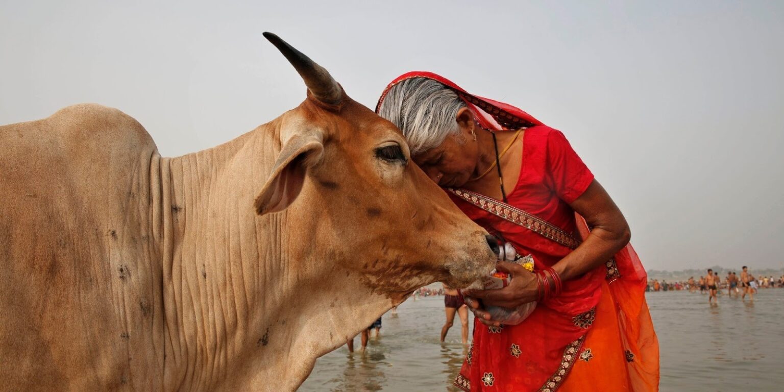 Gau Mata : Why is the Cow Revered in India? - Dharmic Verses