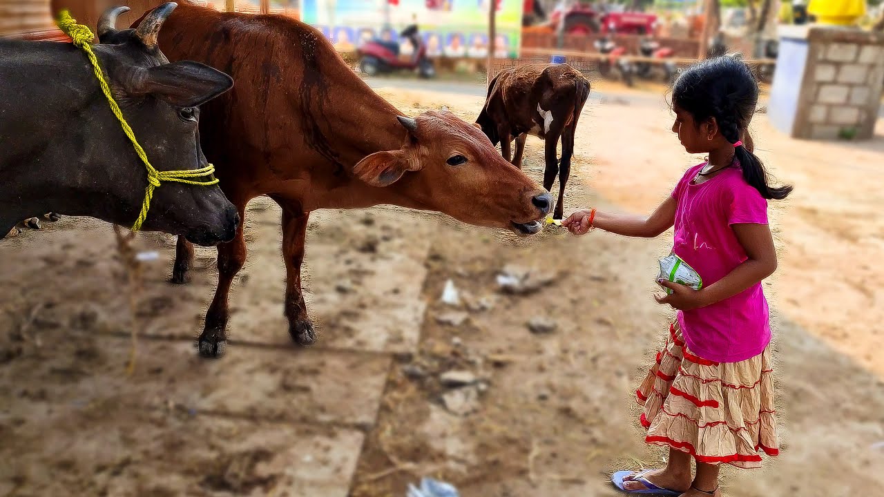 Why Do Hindus Believe in Giving Charity/Daan? - Dharmic Verses